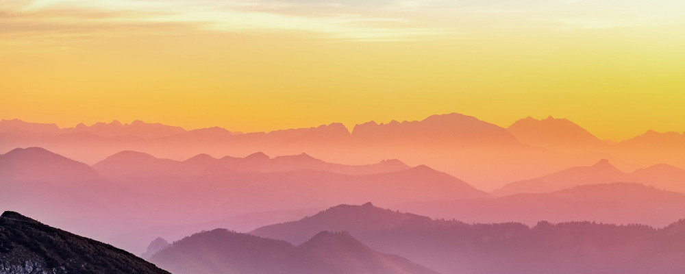 Building A Comments System With Vuejs Laravel And Tailwind Css Part Ii Nick Basile